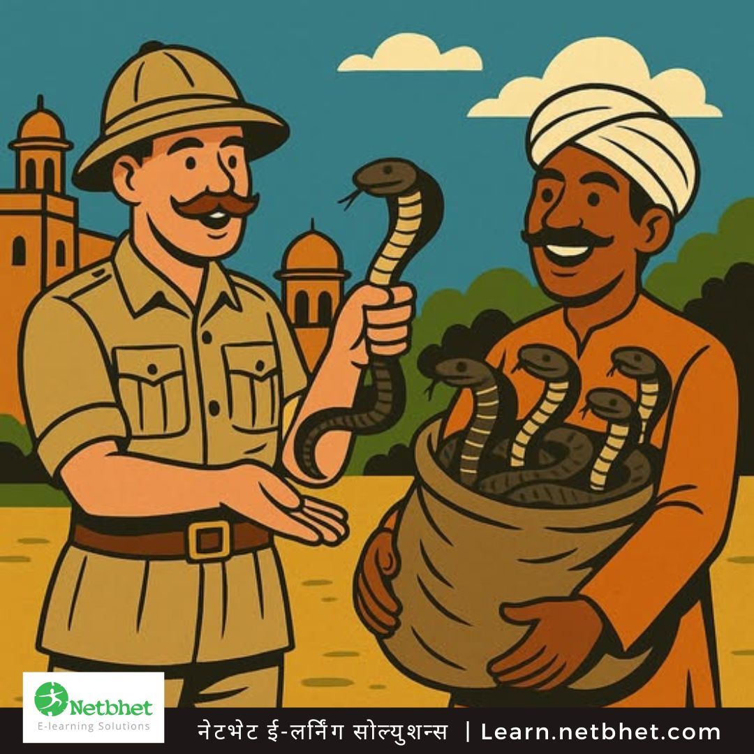 Solution or problem? – The story of the Cobra Effect